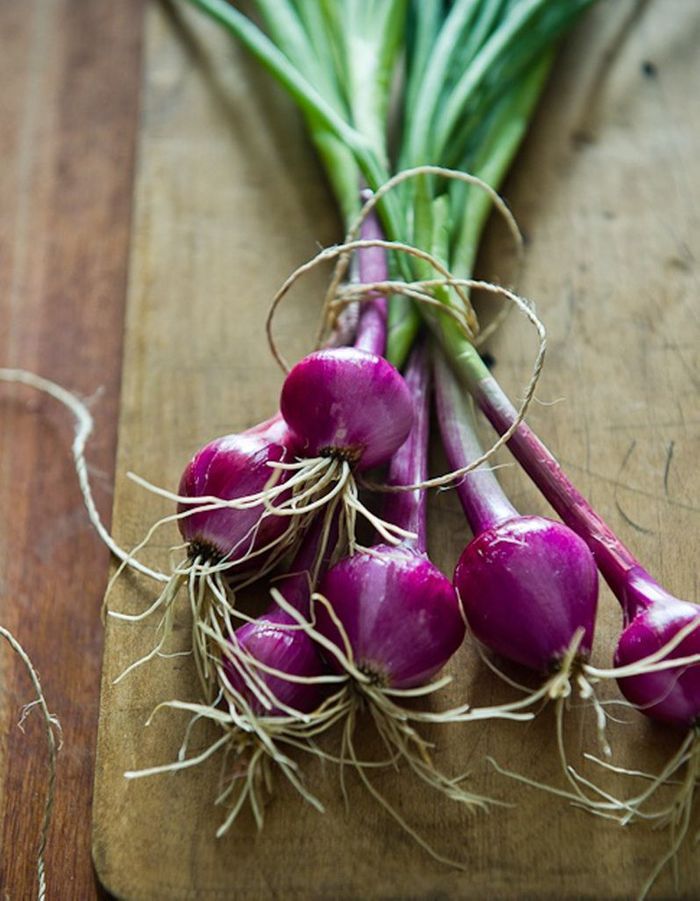 Bouquet de petits oignons rouges - Essayez les légumes violets ! - Elle ...
